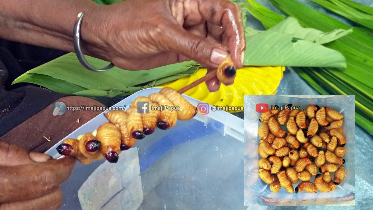 Review Kuliner Ulat Sagu Khas Papua – IMAJI PAPUA